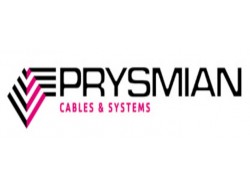 basdec geleceğe kanatlan we on social media bültene katılma başarılı ...